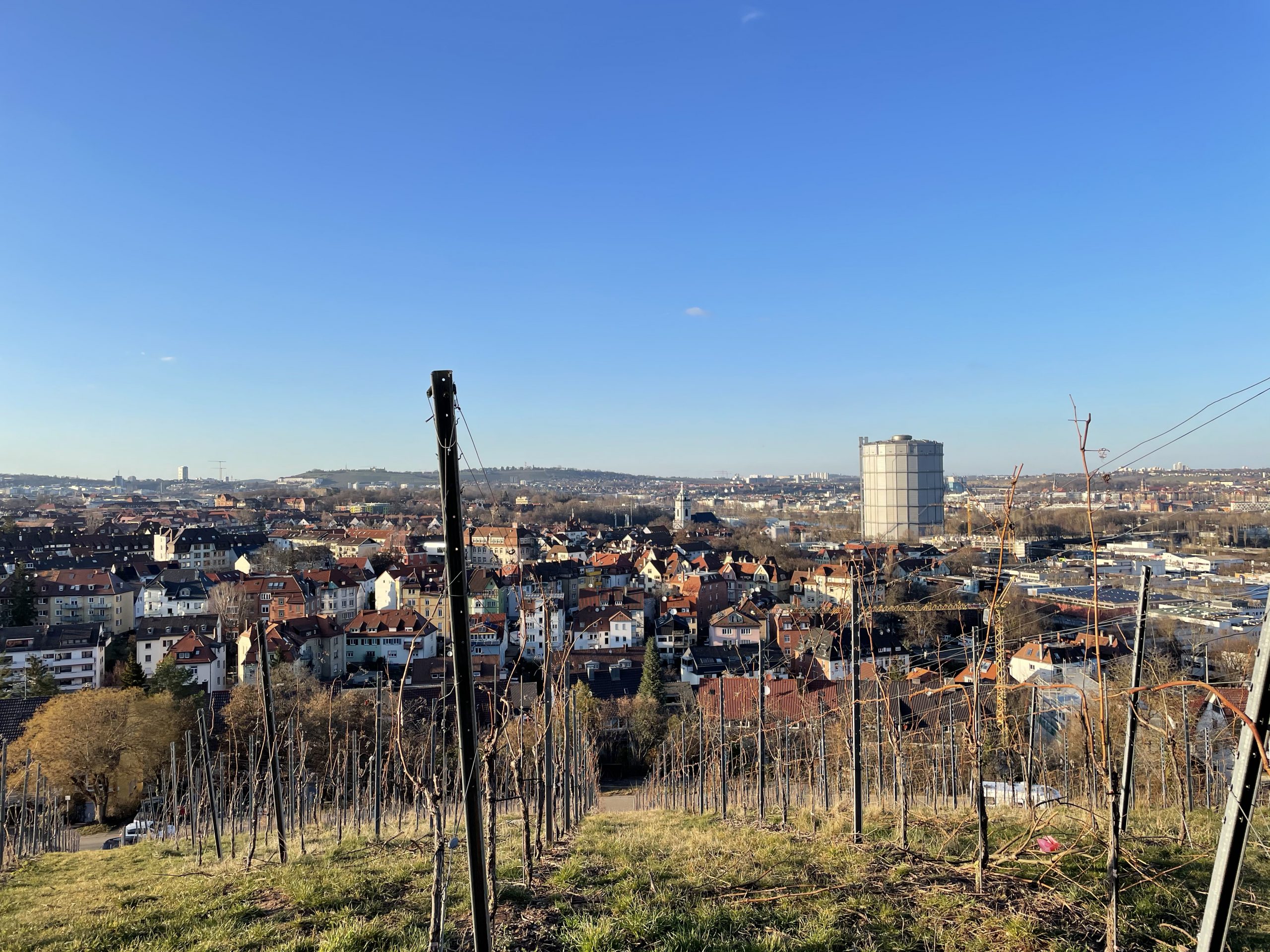 Was das Gasparitsch mit dem öffentlichen Raum zu tun hat – 's ...